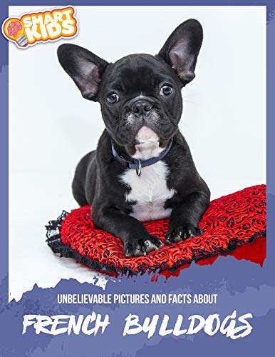 Unbelievable Pictures and Facts About French Bulldogs by Olivia ...