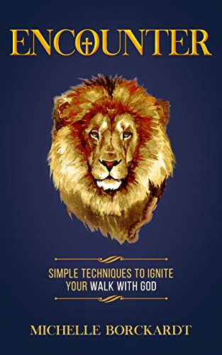 Encounter: Simple Techniques to Ignite Your Walk with God by Michelle ...