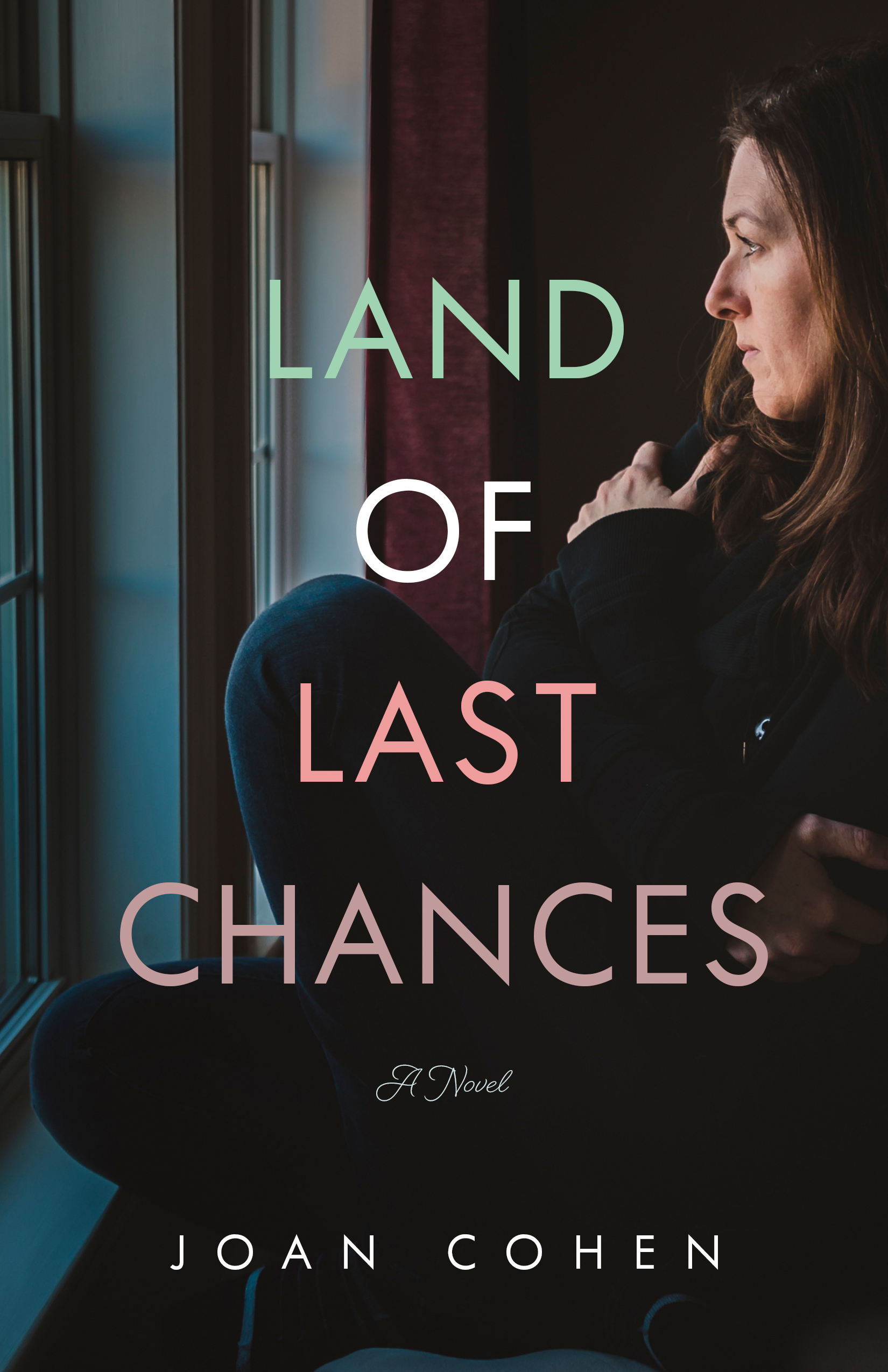 Land of Last Chances by Joan Cohen | Goodreads