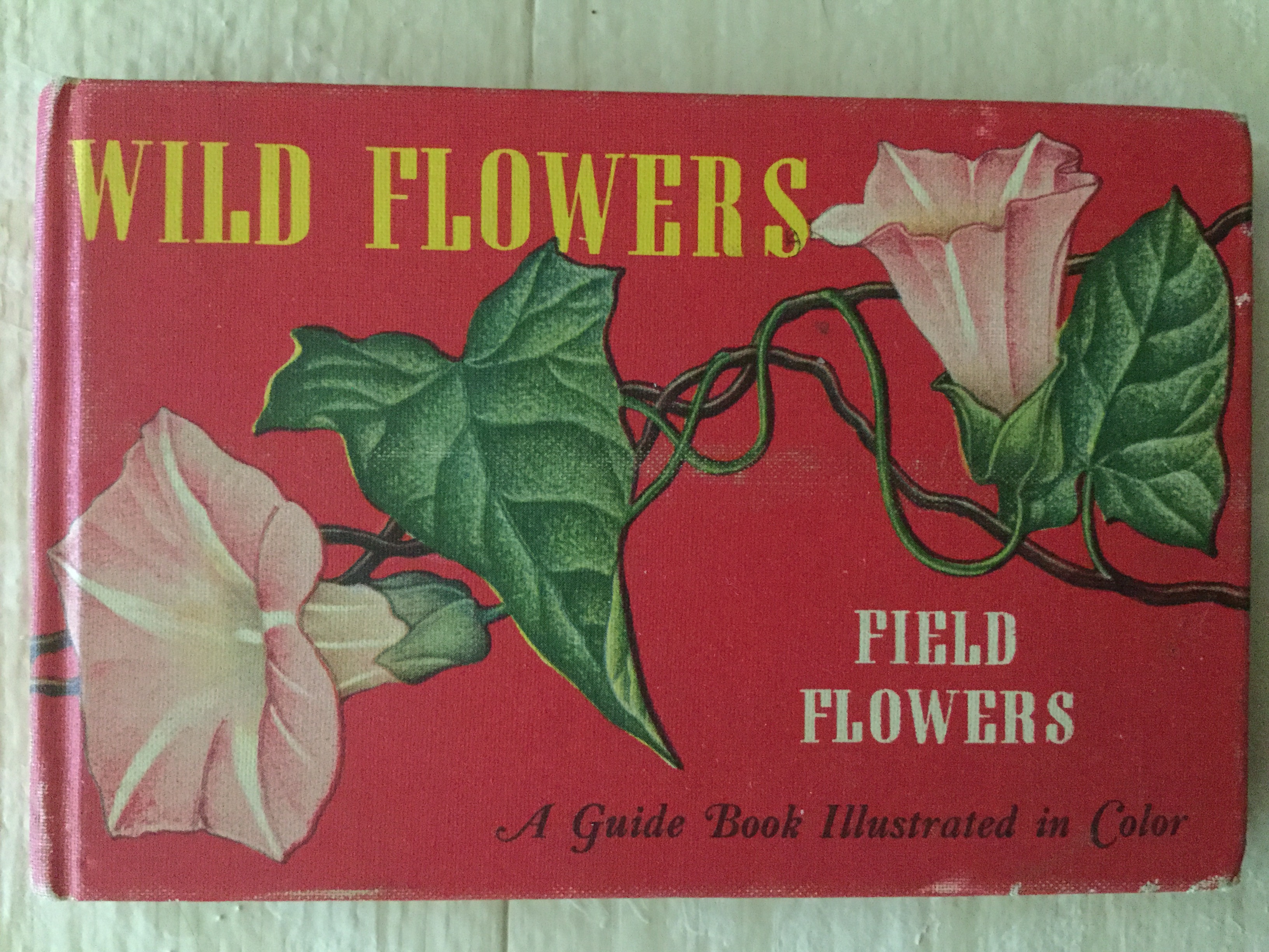 A Guide to Wild Flowers Field Flowers by T.H. Everett | Goodreads