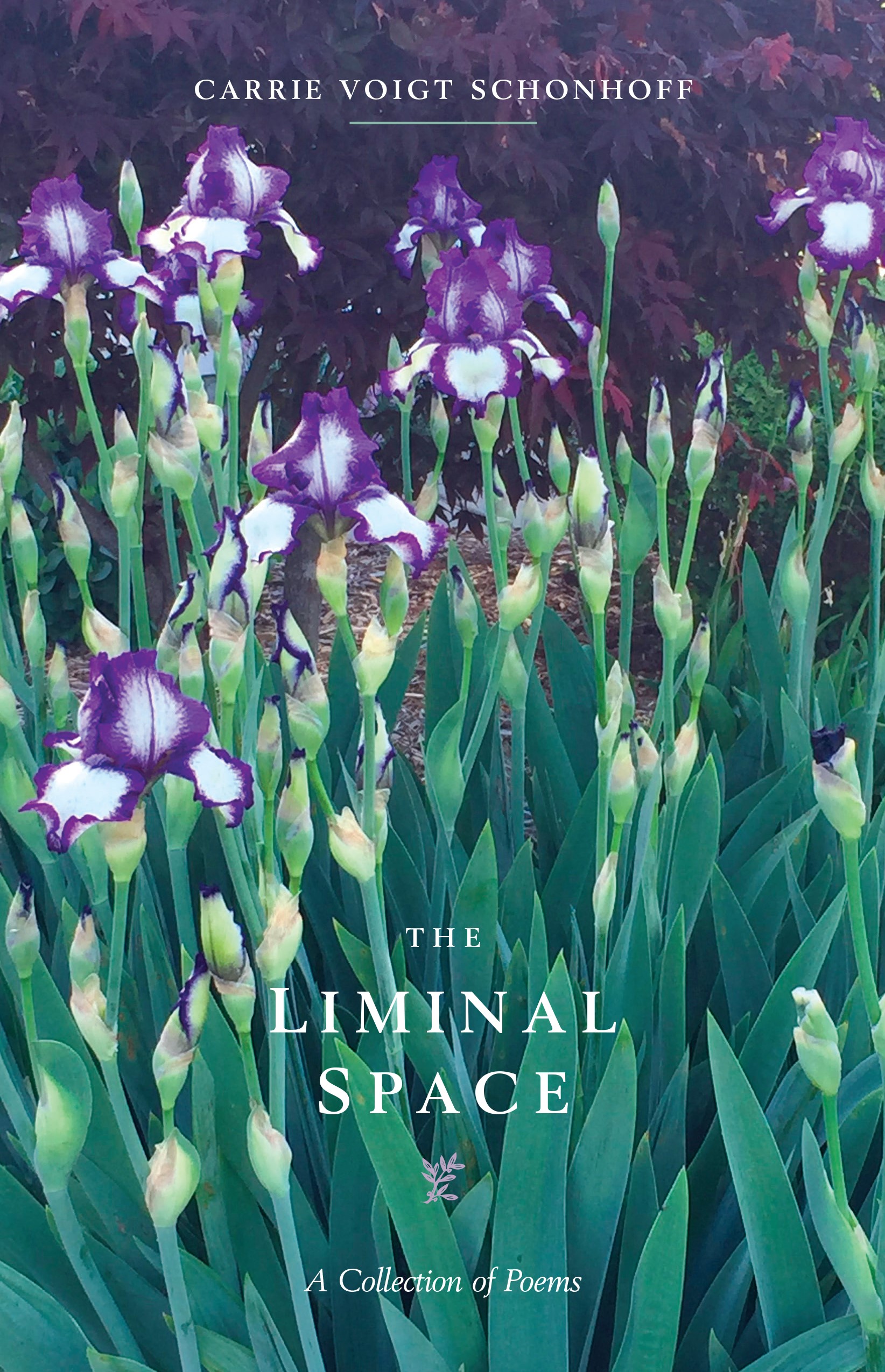 The Liminal Space by Carrie Voigt Schonhoff | Goodreads
