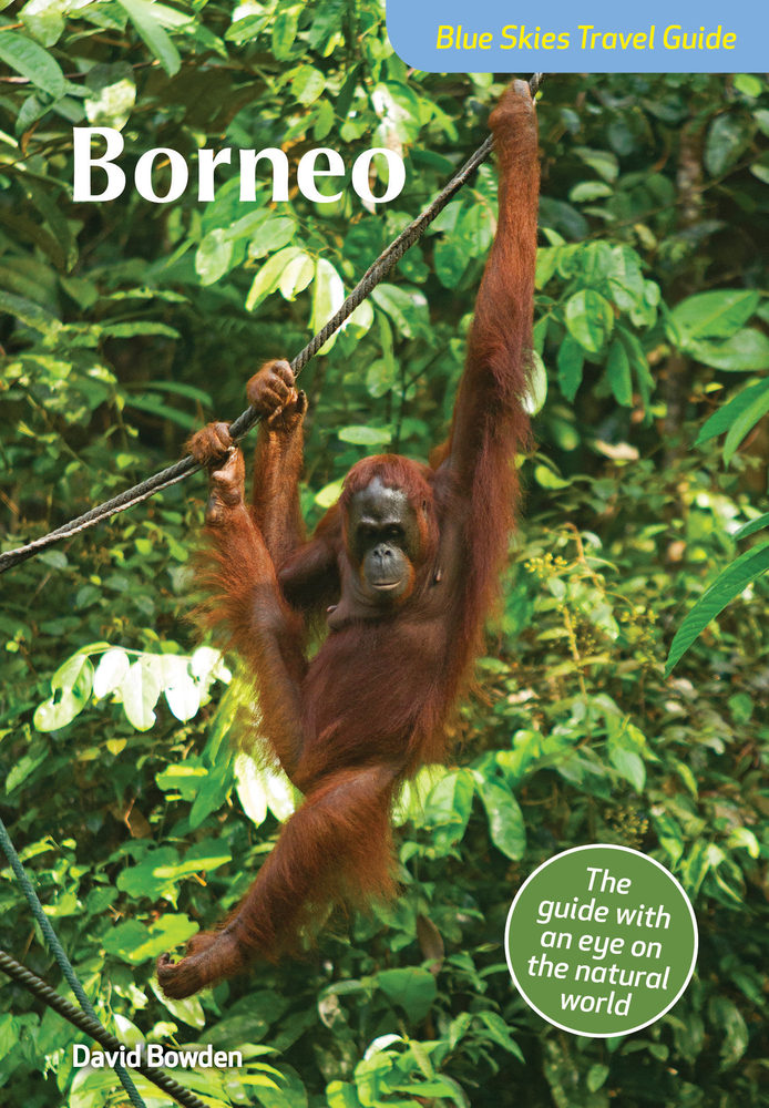 Blue Skies Guide to Borneo (Blue Skies Travel Guides) by David Bowden ...