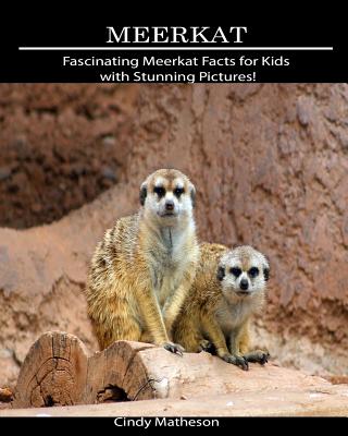 Meerkat: Fascinating Meerkat Facts for Kids with Stunning Pictures! by ...