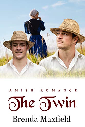 The Twin (Lindy's Story Book 1) by Brenda Maxfield | Goodreads