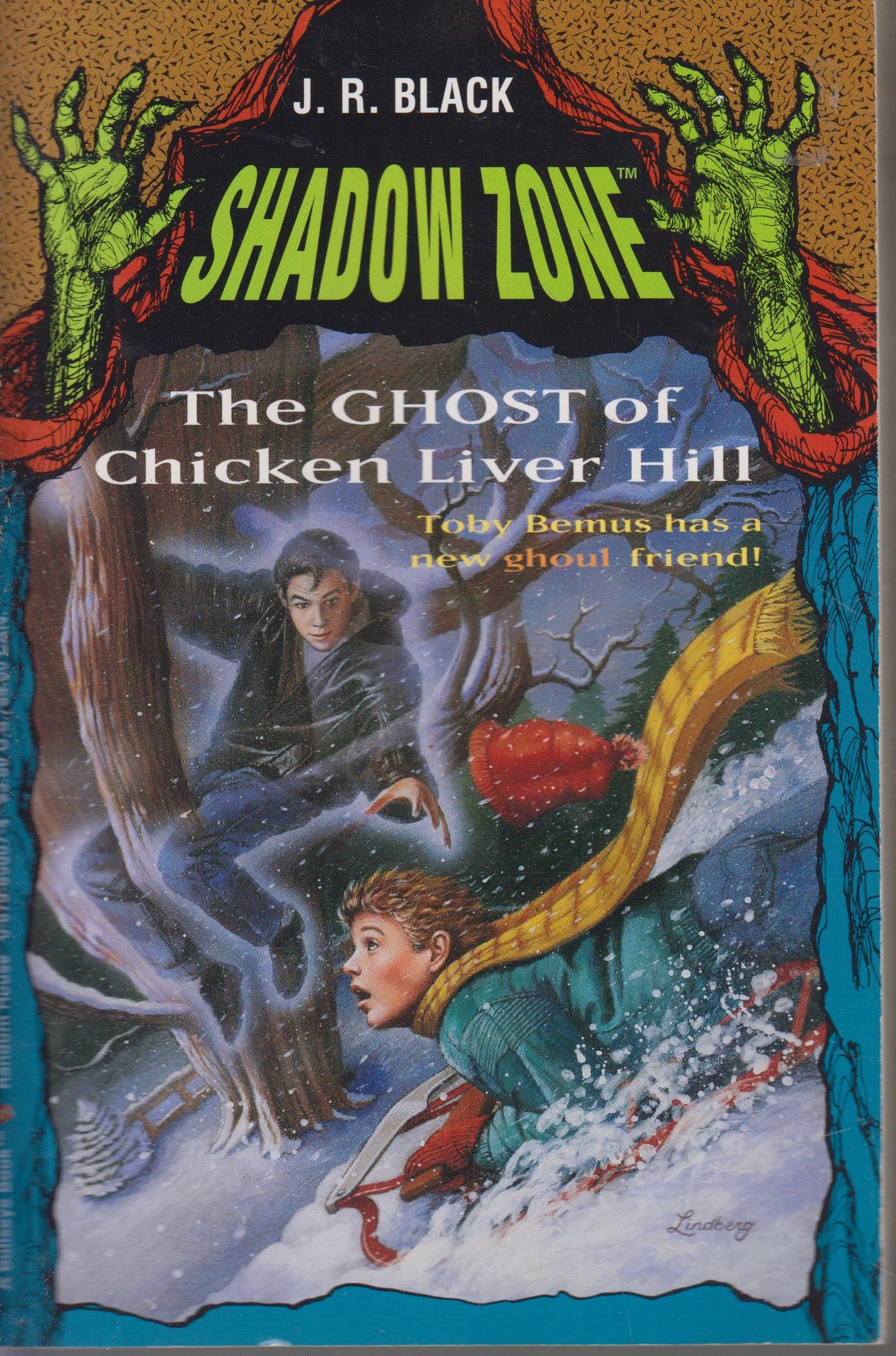 The Ghost of Chicken Liver Hill (Shadow Zone, #1) by J.R. Black | Goodreads
