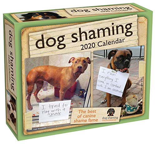 Dog Shaming 2020 Day-to-Day Calendar by Pascale Lemire | Goodreads