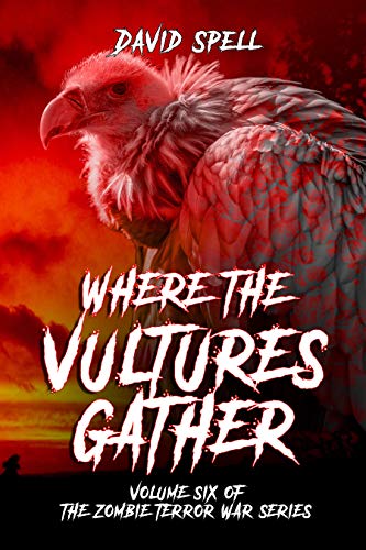 Where the Vultures Gather: Volume Six of the Zombie Terror War Series ...
