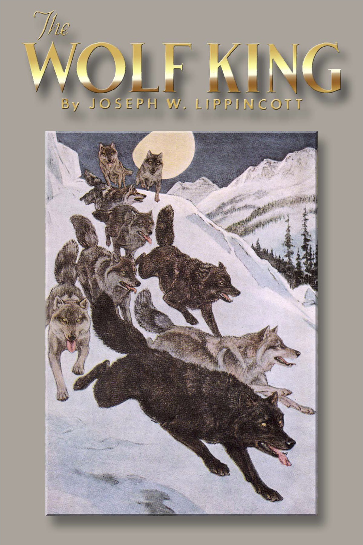 The Wolf King by Joseph Wharton Lippincott | Goodreads
