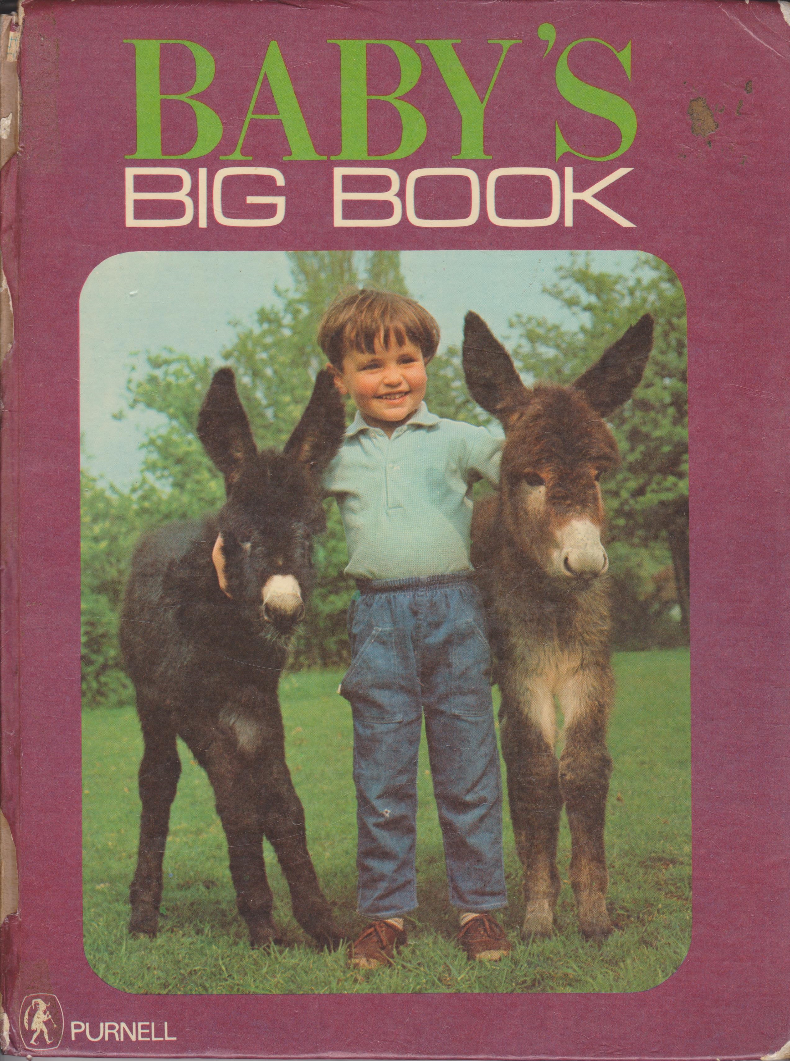 Baby's Big Book by Herson | Goodreads