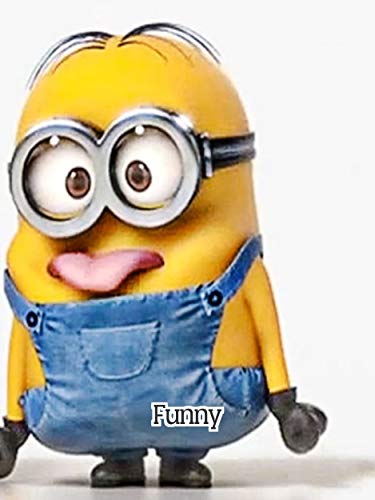 The Funny Minion Memes Ever by Sam Dolare | Goodreads