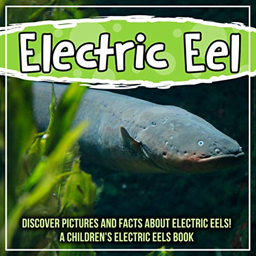 Electric Eel: Discover Pictures and Facts About Electric Eels! A Children's Electric Eels Book ...