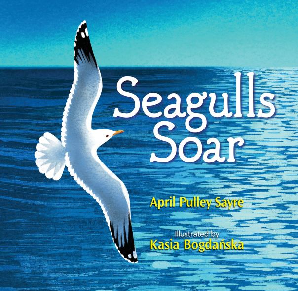 Seagulls Soar by April Pulley Sayre | Goodreads