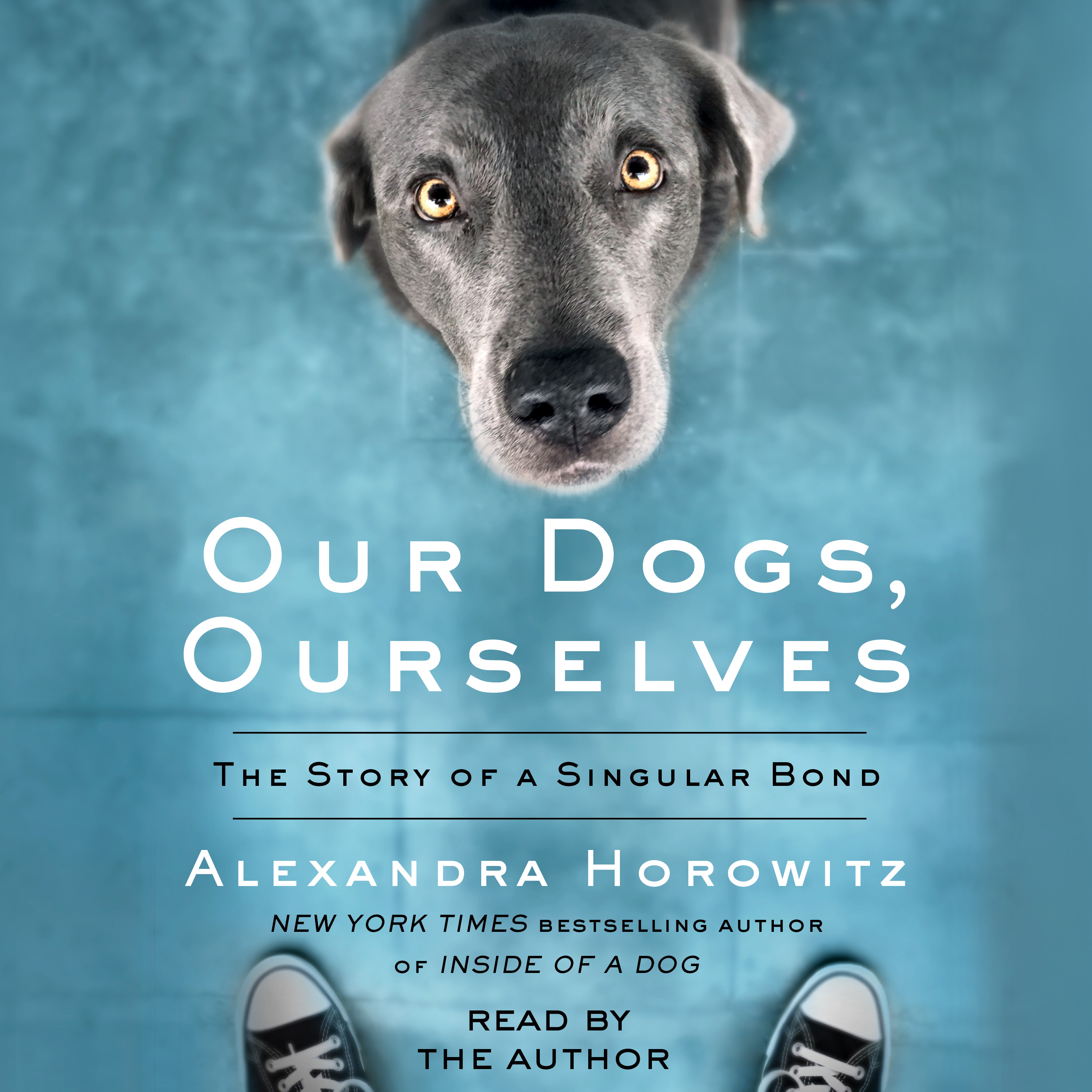 Our Dogs, Ourselves: How We Live with Dogs Now by Alexandra Horowitz ...