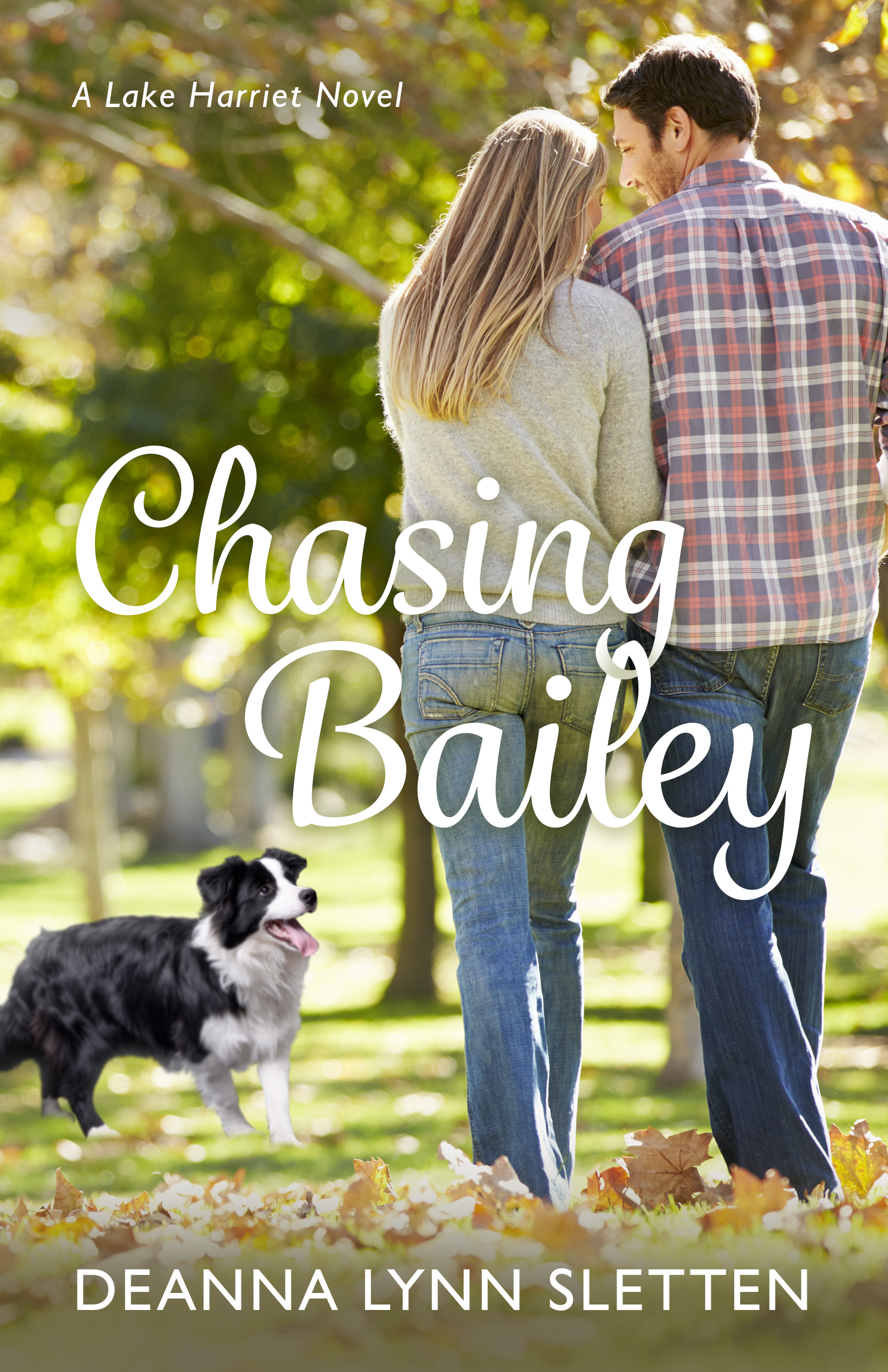 Chasing Bailey: A Lake Harriet Novel by Deanna Lynn Sletten | Goodreads