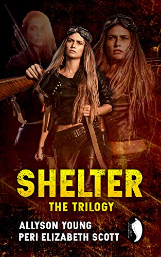 Shelter: The Trilogy: the beginning, the reckoning, the return by ...