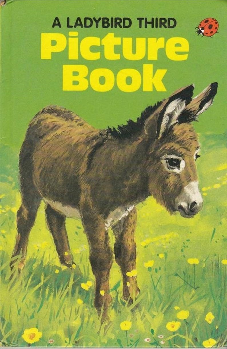 Ladybird Third Picture Book (Series 704) by Ladybird Series | Goodreads