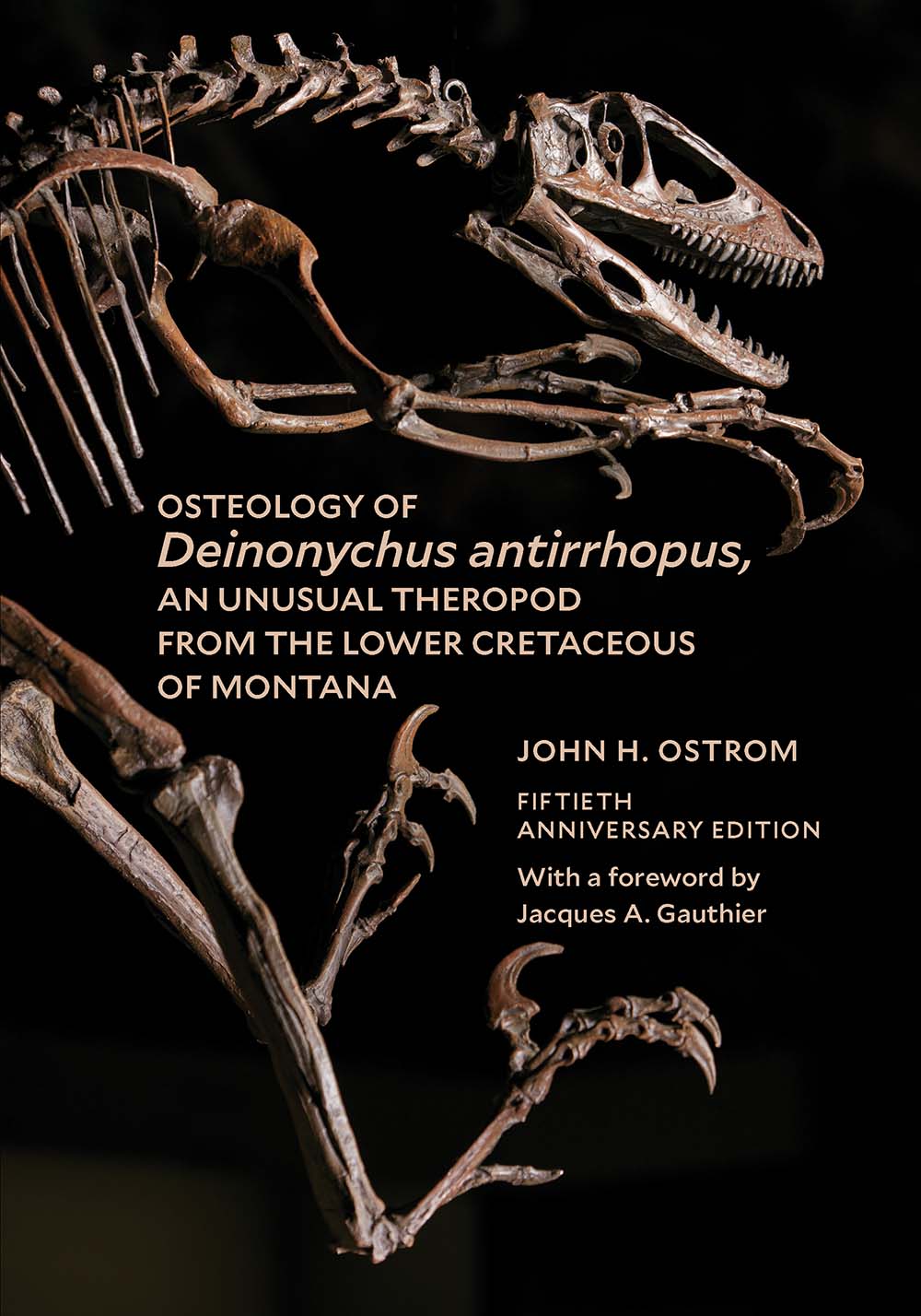 Osteology of Deinonychus antirrhopus, an Unusual Theropod from the ...