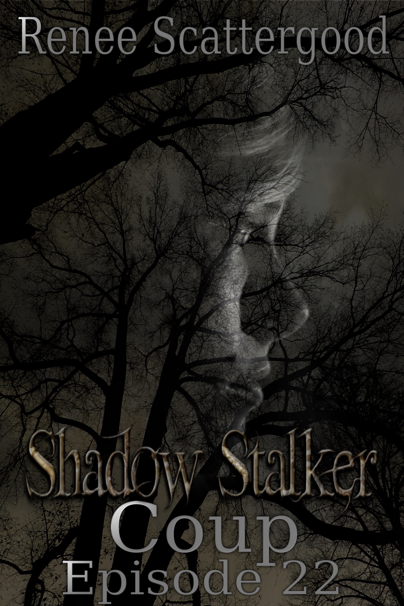 Shadow Stalker: Coup (Episode 22) by Renee Scattergood | Goodreads