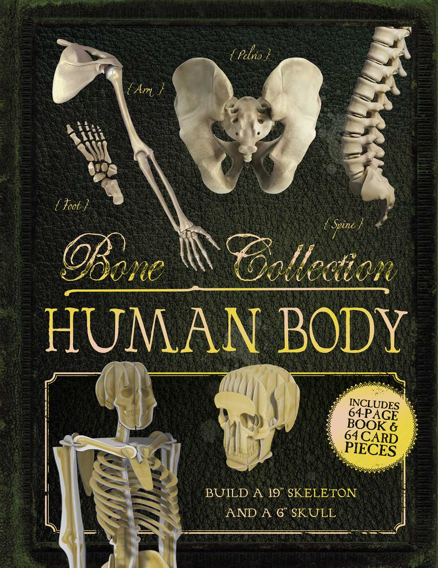 Bone Collection: Human Body by Rob Scott Colson | Goodreads