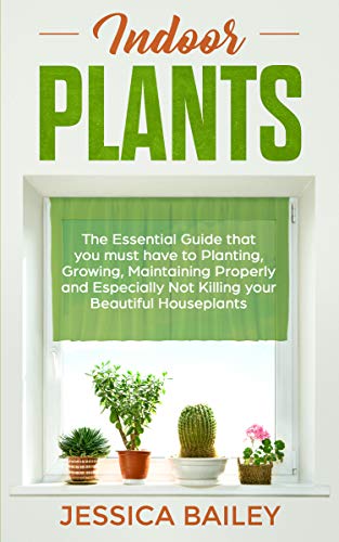 Indoor Plants: The Essential Guide that you must have to Planting ...