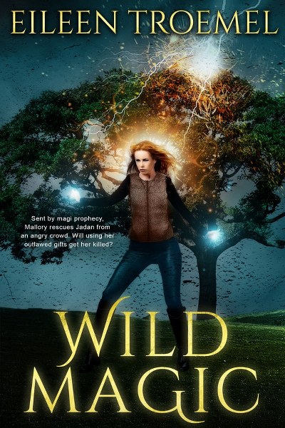 Wild Magic (Wild Magic Series Book 1) by Eileen Troemel | Goodreads