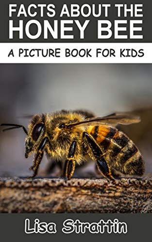 Facts About the Honey Bee by Lisa Strattin | Goodreads