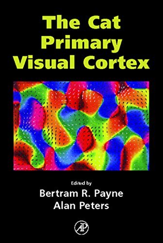 The Cat Primary Visual Cortex by Bertram Payne | Goodreads