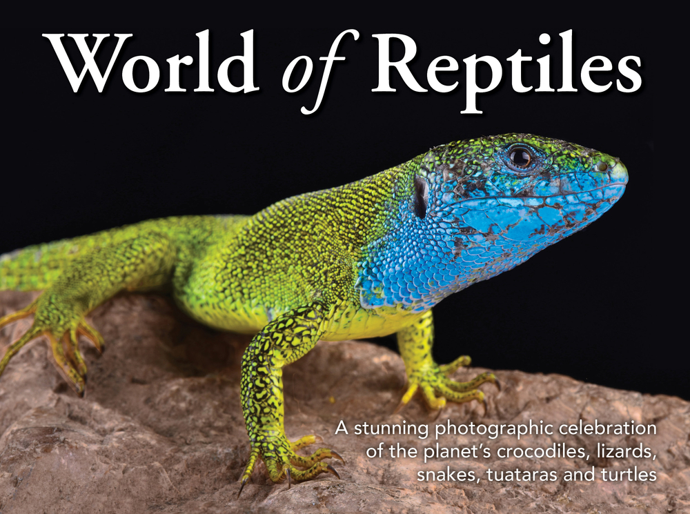 World of Reptiles: A Stunning Photographic Celebration of the Planet’s ...