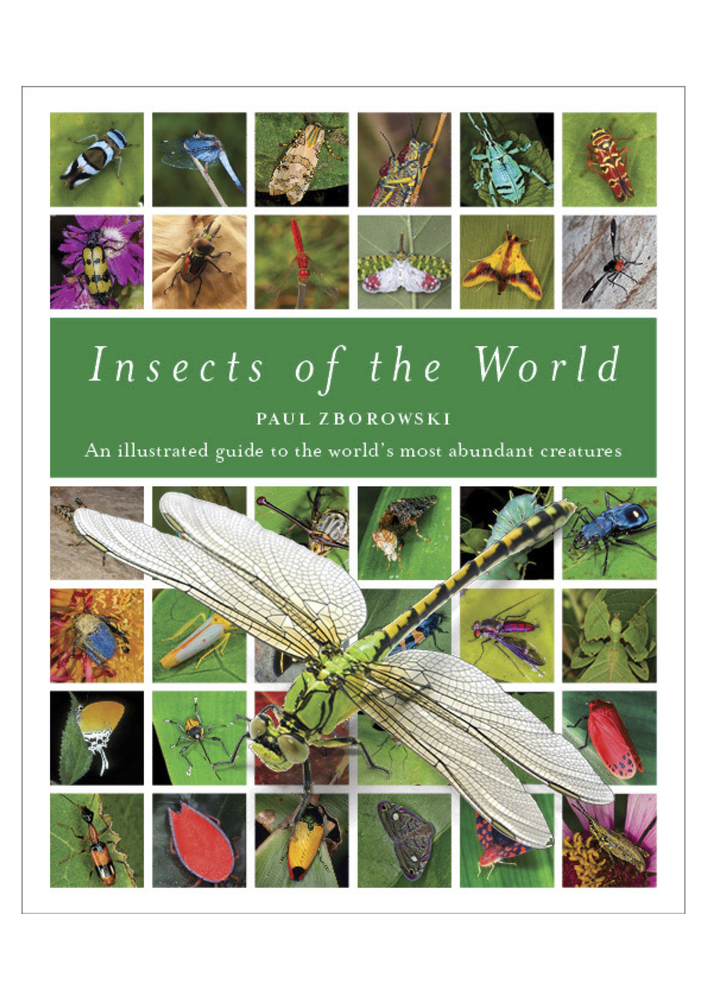 Insects of the World: An Illustrated Guide to the World's Most Abundant ...