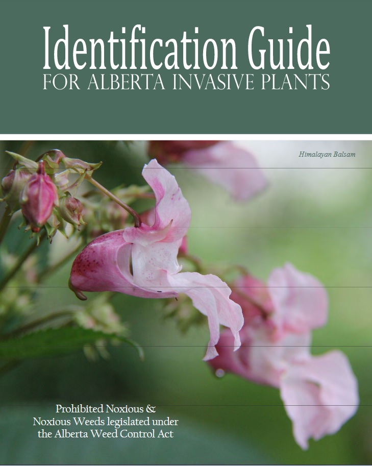 Identification Guide for Alberta Invasive Plants by Sarah Schumacher ...