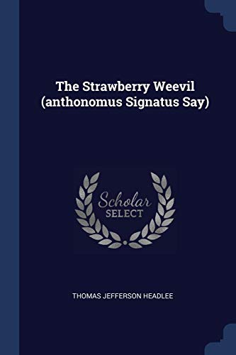 The Strawberry Weevil (anthonomus Signatus Say) by Thomas J. Headlee ...