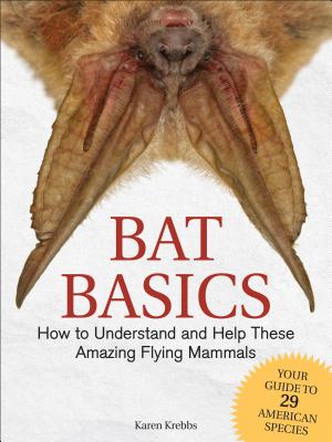 Bat Basics: How to Understand and Help These Amazing Flying Mammals by ...