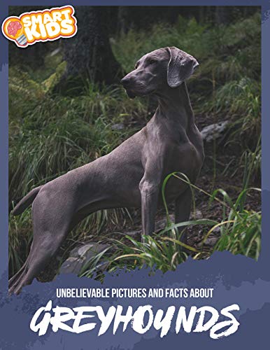 Unbelievable Pictures and Facts About Greyhounds by Olivia Greenwood ...