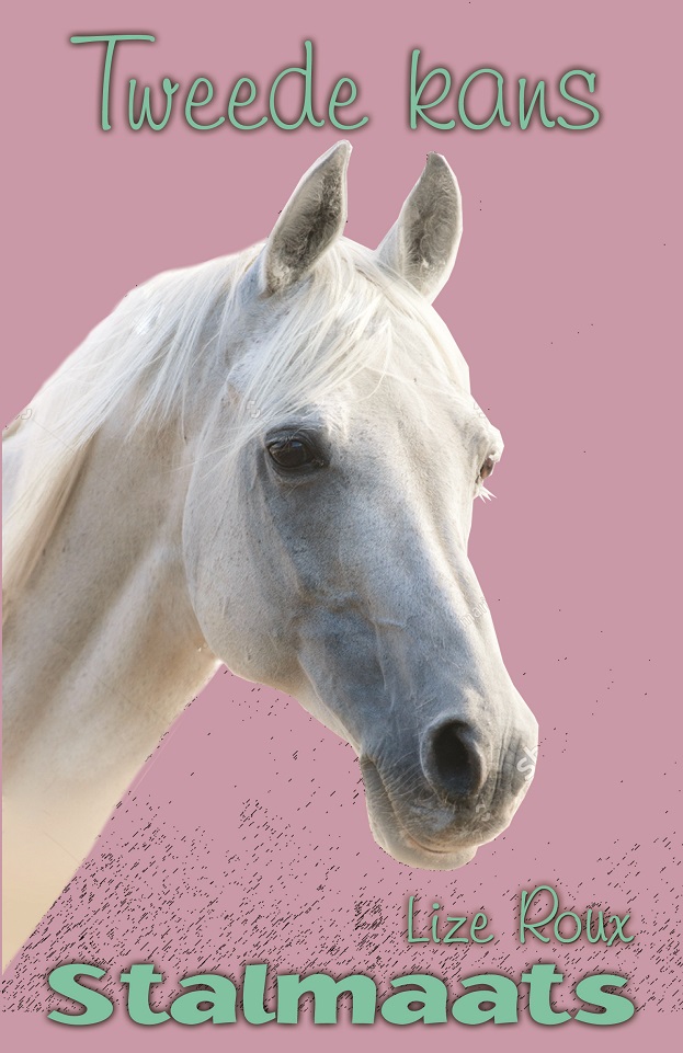 Stalmaats 21: Tweede Kans by Lize Roux | Goodreads