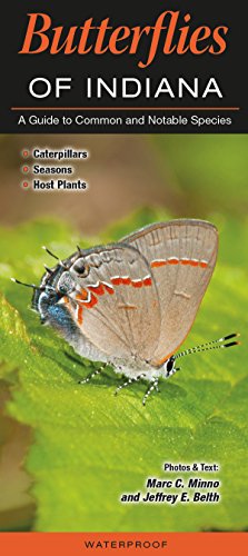 Butterflies of Indiana: A Guide to Common and Notable Species by Marc ...