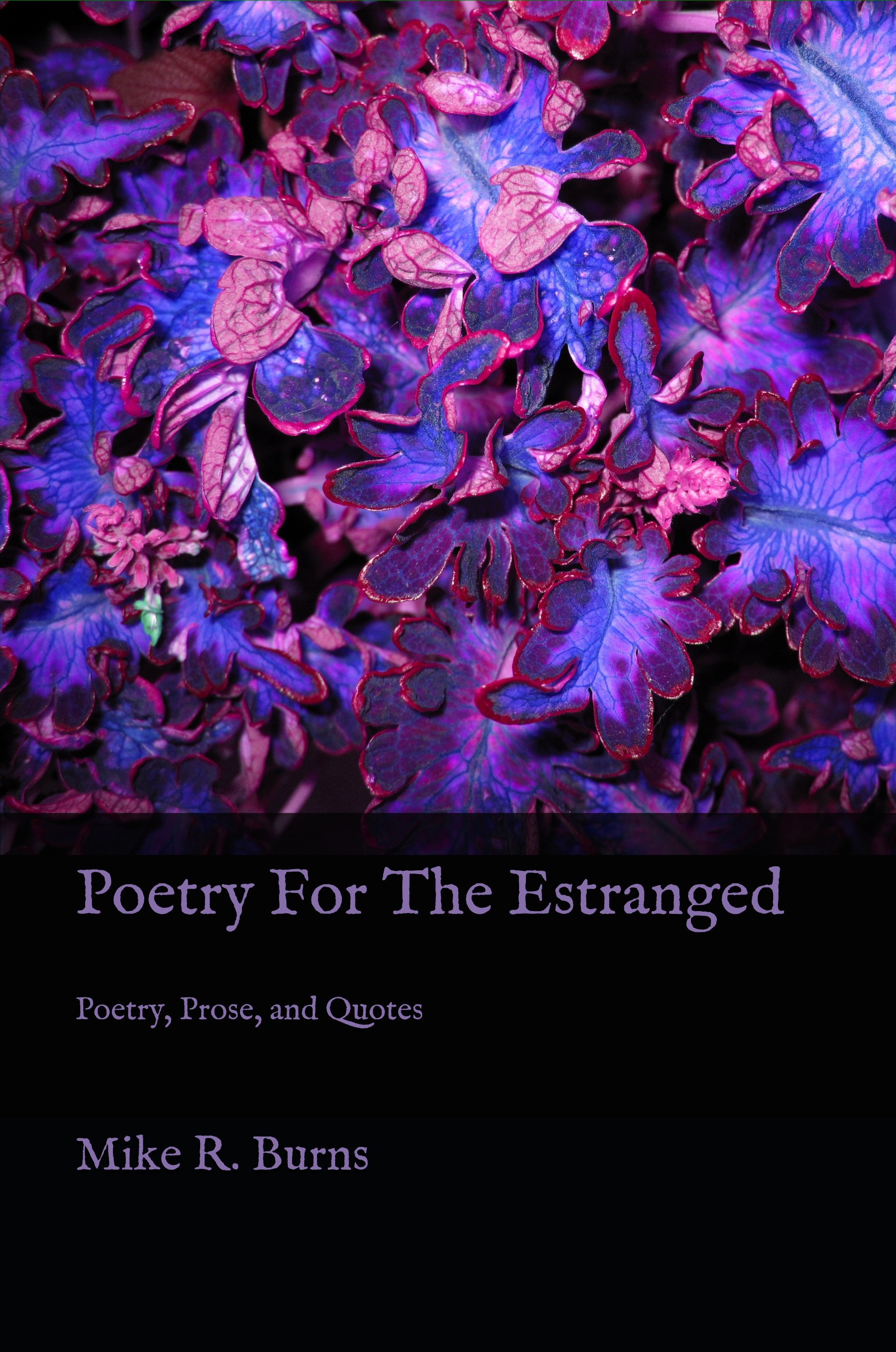 Poetry for the Estranged by Mike R. Burns | Goodreads