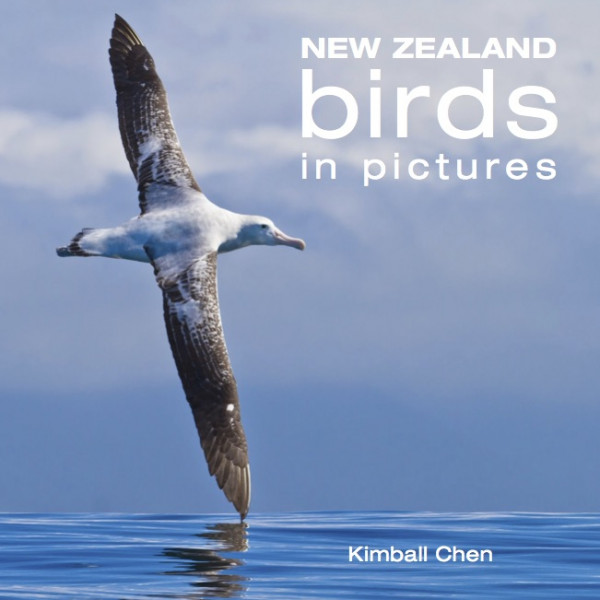 New Zealand Birds In Pictures by Kimball Chen | Goodreads