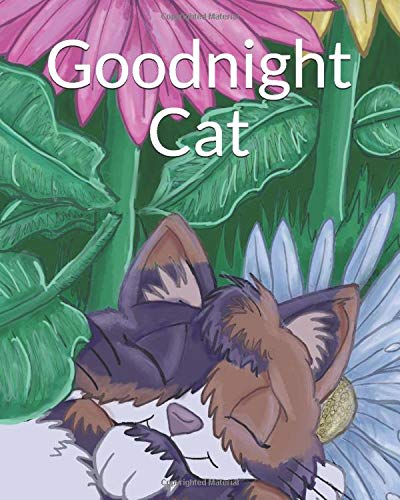 Goodnight Cat by Heidi Rabe | Goodreads