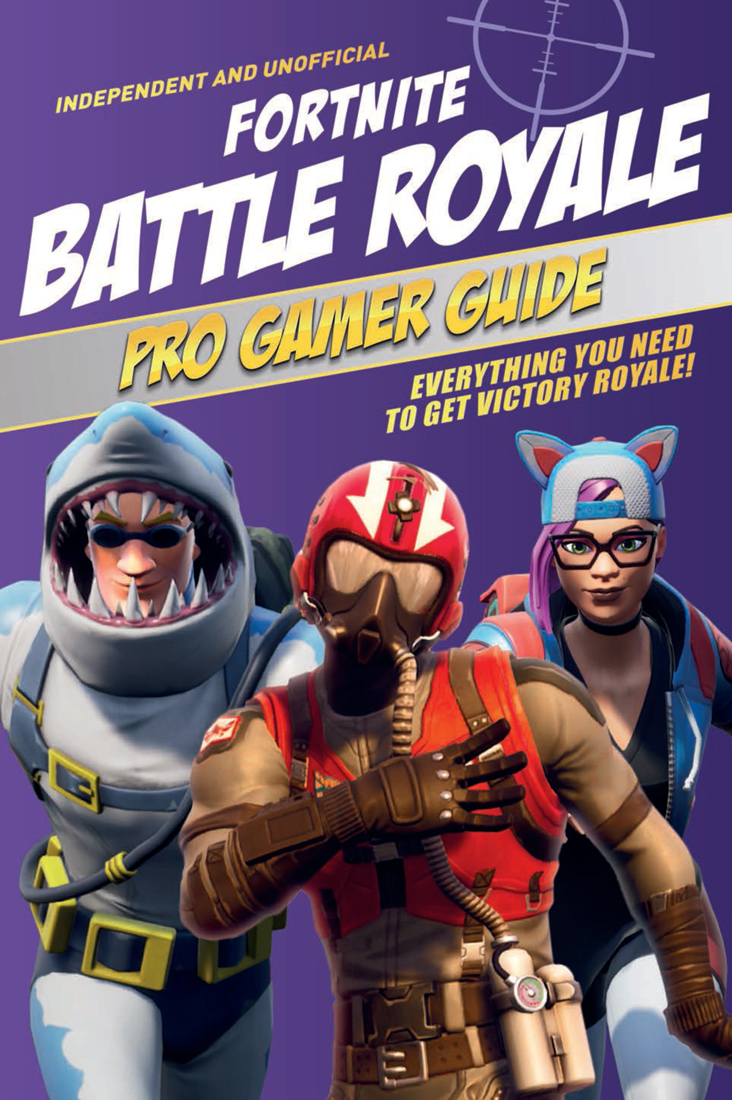Fortnite Battle Royale Pro Gamer Guide: Everything You Need to Get ...