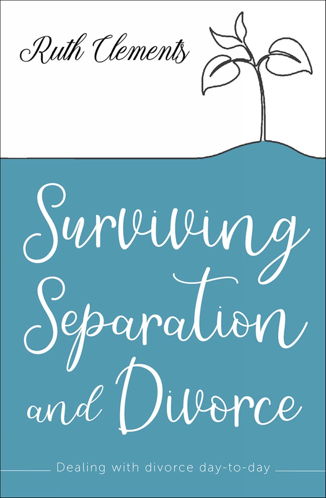 Surviving Separation and Divorce: Dealing with divorce day-to-day by ...