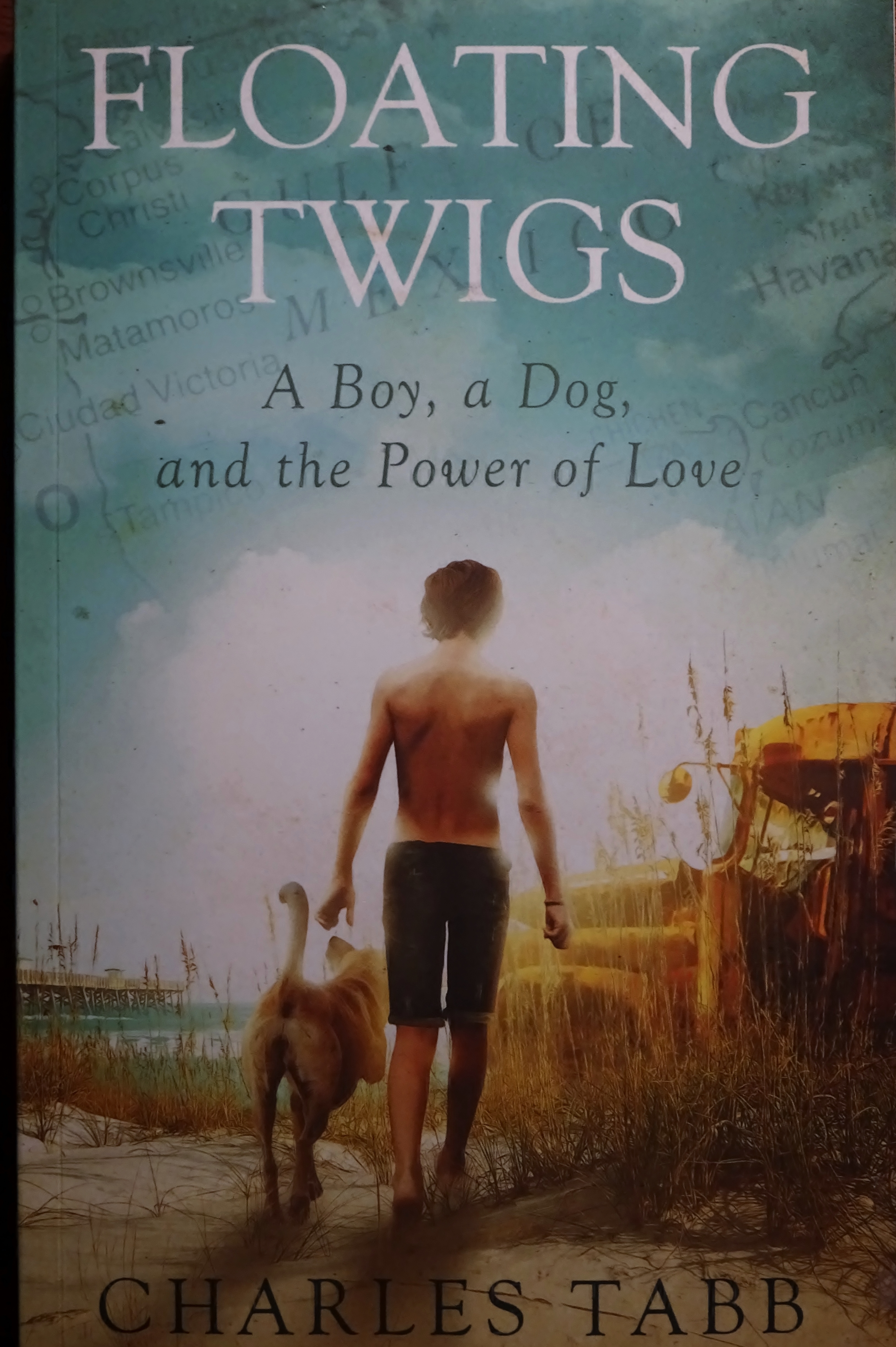 Floating Twigs by Charles Tabb | Goodreads