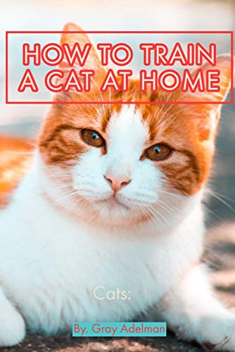 Cats: HOW TO TRAIN A CAT AT HOME: Cat Training: How to Train Your Cat ...