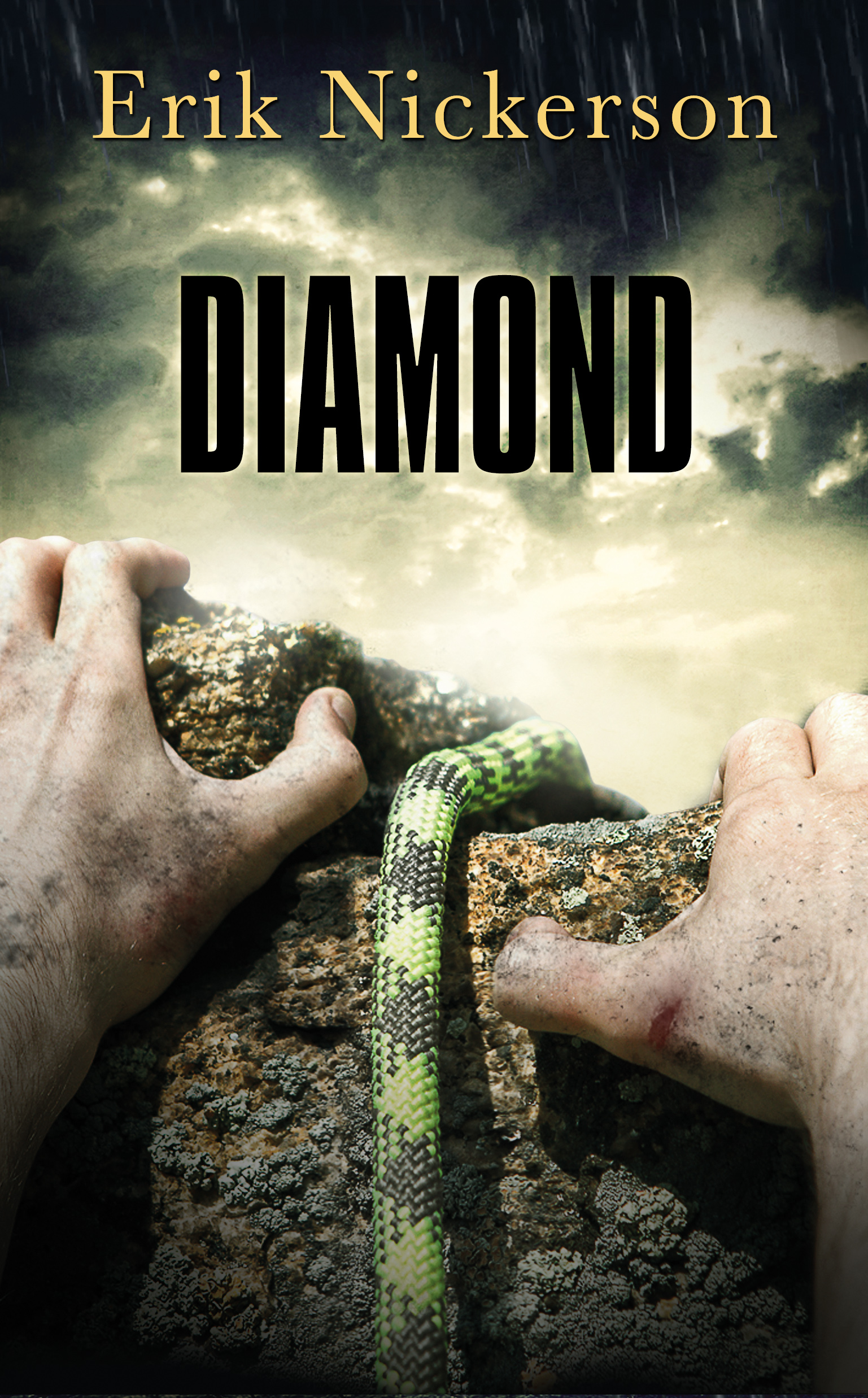 Diamond by Erik Nickerson | Goodreads