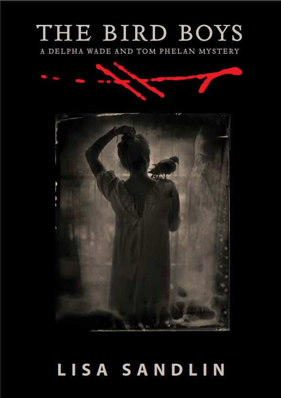 The Bird Boys by Lisa Sandlin | Goodreads