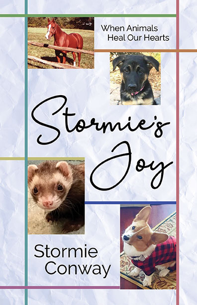 Stormie's Joy by Stormie Conway | Goodreads