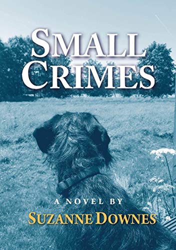 Small Crimes by Suzanne Downes | Goodreads