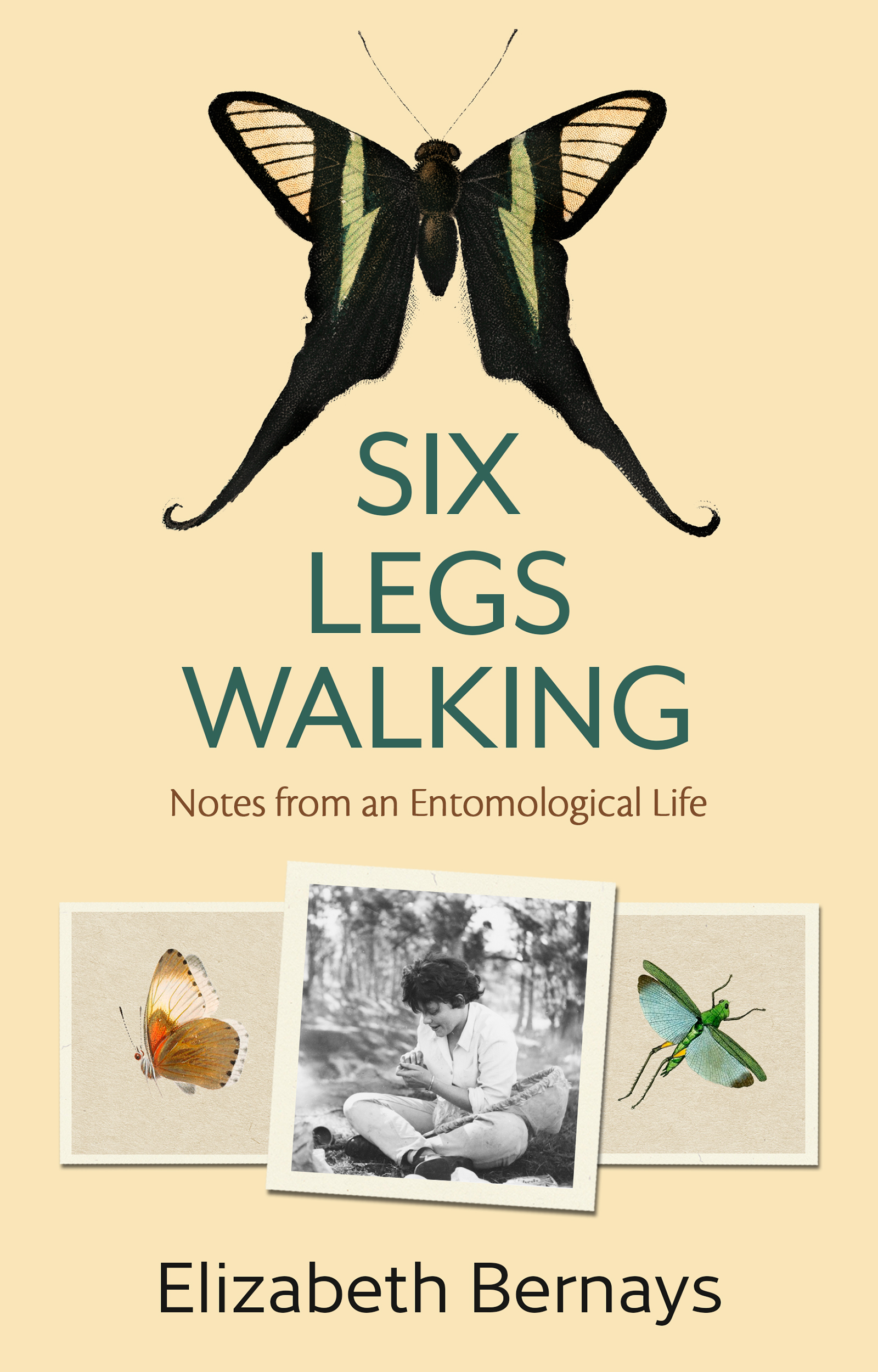 Six Legs Walking: Notes from an Entomological Life by Elizabeth Bernays ...