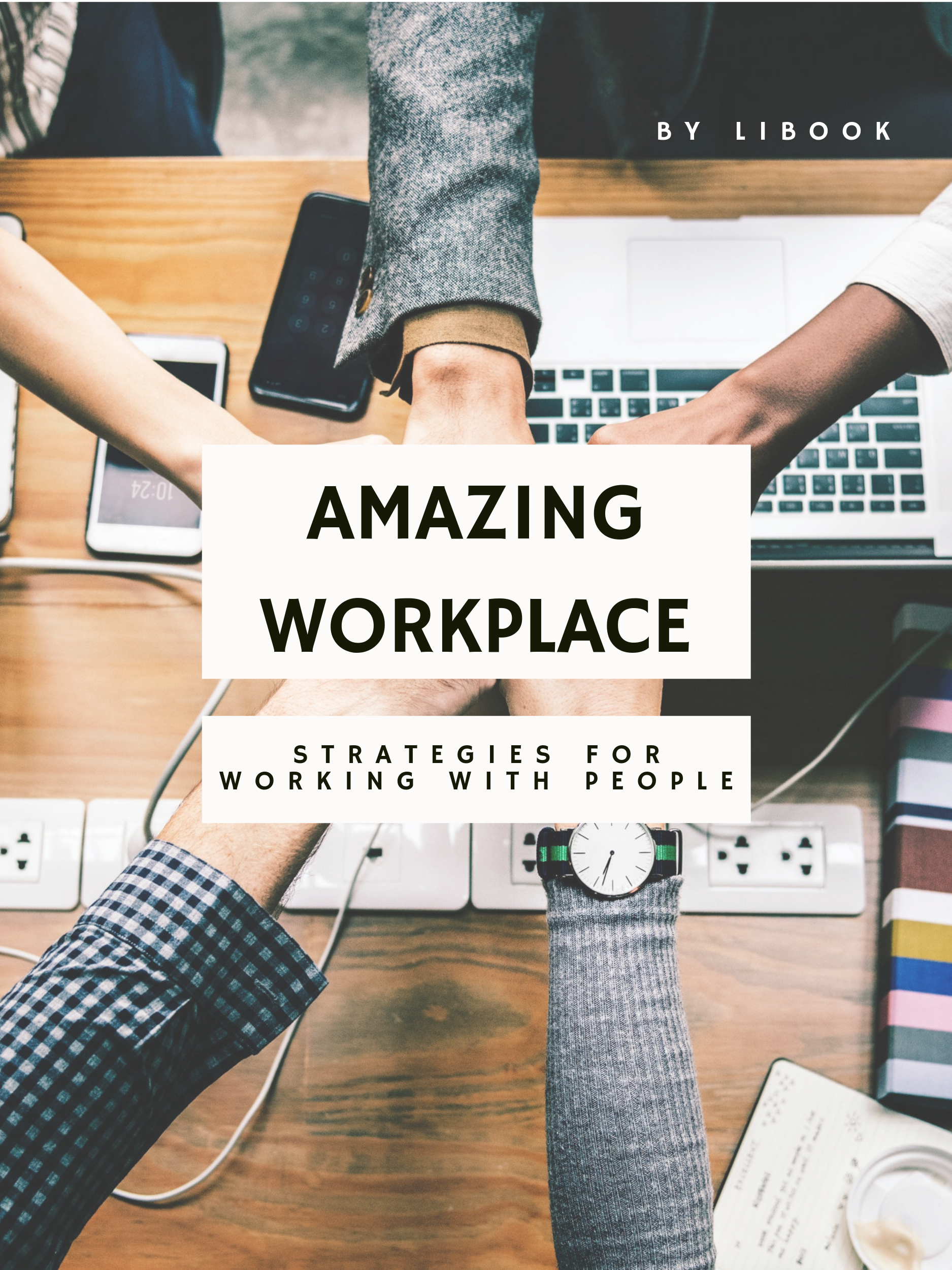 Amazing Workplace: Strategies for Working with People by LiBook Press ...