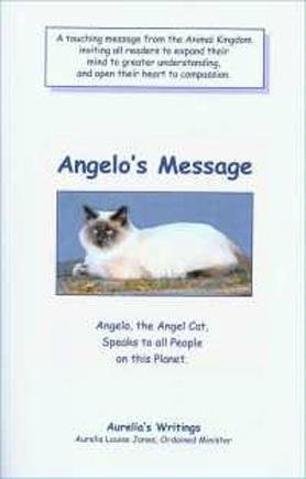 Angelo's Message: Angelo, the Angel Cat, Speaks to all people on this ...