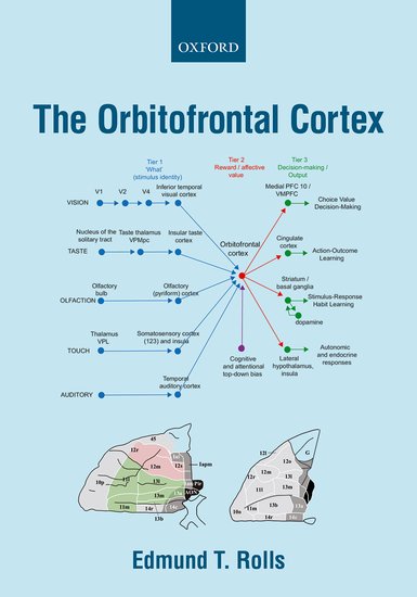 The Orbitofrontal Cortex by Edmund Rolls | Goodreads